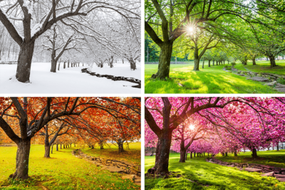 Earth's Tilt – Day Length and Seasons – Lesson Summary | Good Science